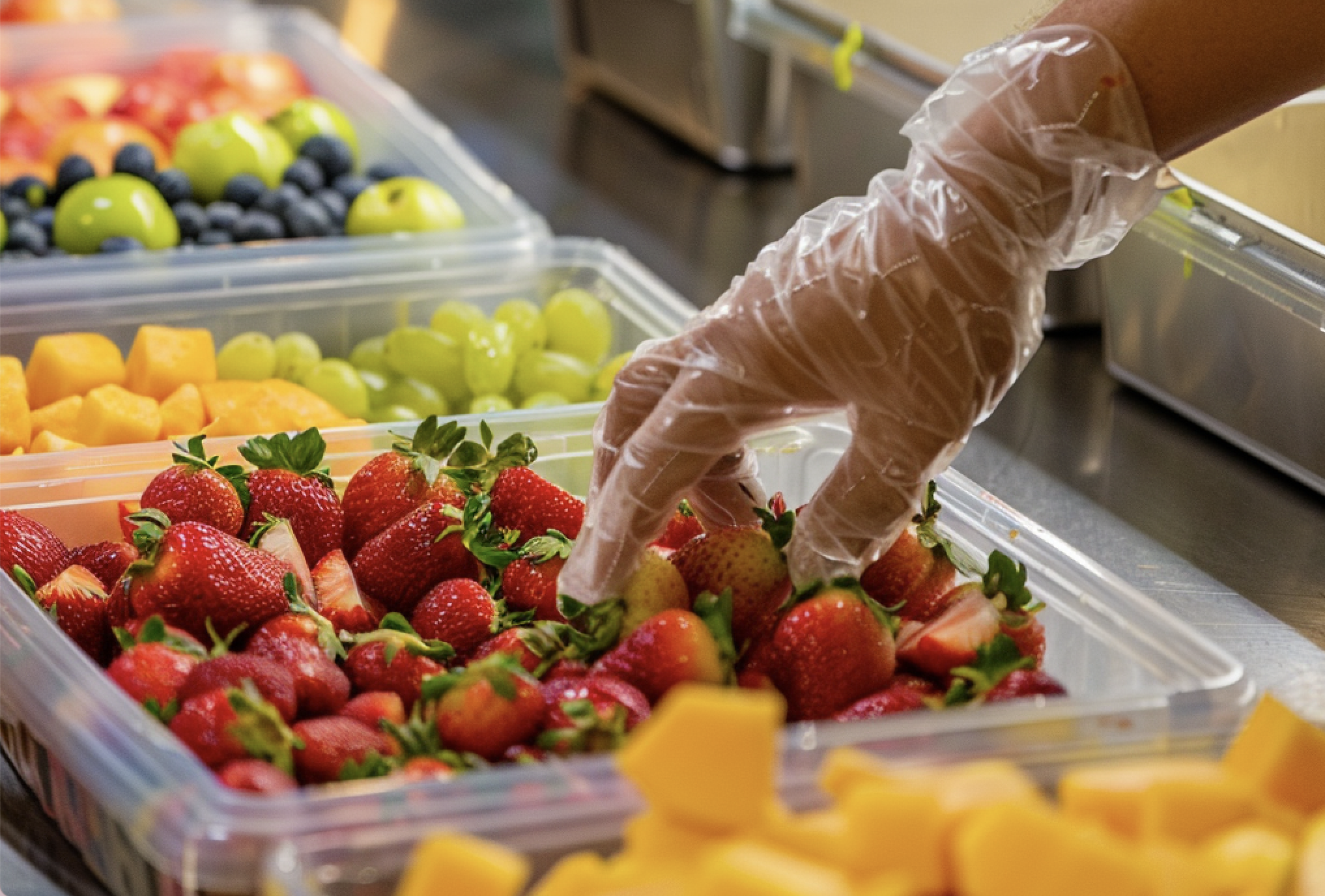 Restaurant Food Distribution Services | Davin Foods